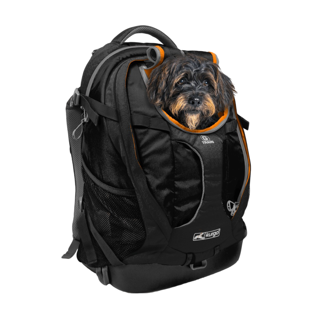 Kurgo G Train K9 Carrier Backpack Black | Top dogs on price | Pet Circle
