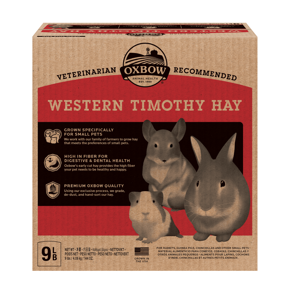 Oxbow Western Timothy Premium Grass Hay For Rabbits And Guinea Pigs ...