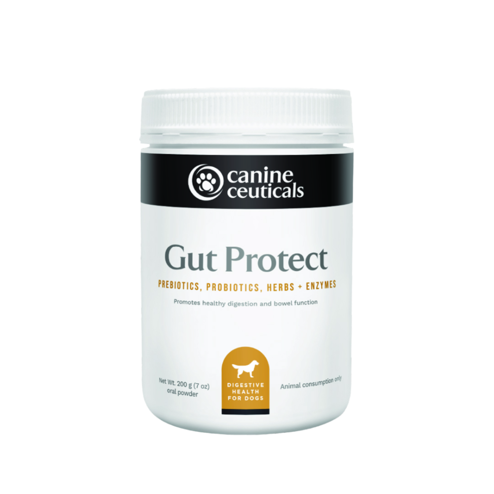 Canine Ceuticals Gut Protect Digestive Health Powder For Dogs | Top ...