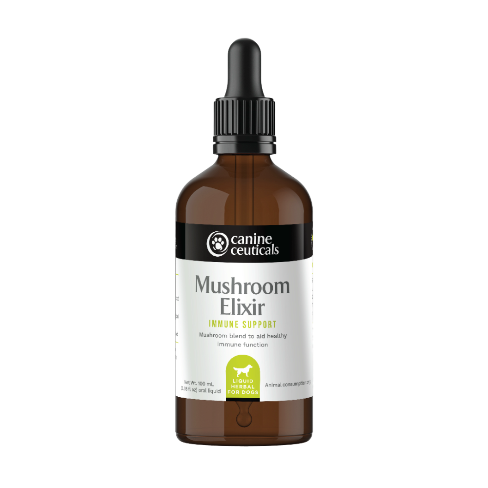 Canine Ceuticals Mushroom Elixir Immune Support Drops For Dogs | Top ...