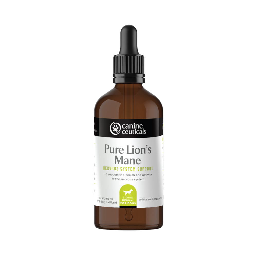 Canine Ceuticals Pure Lions Mane Nervous System Support Drops For Dogs ...