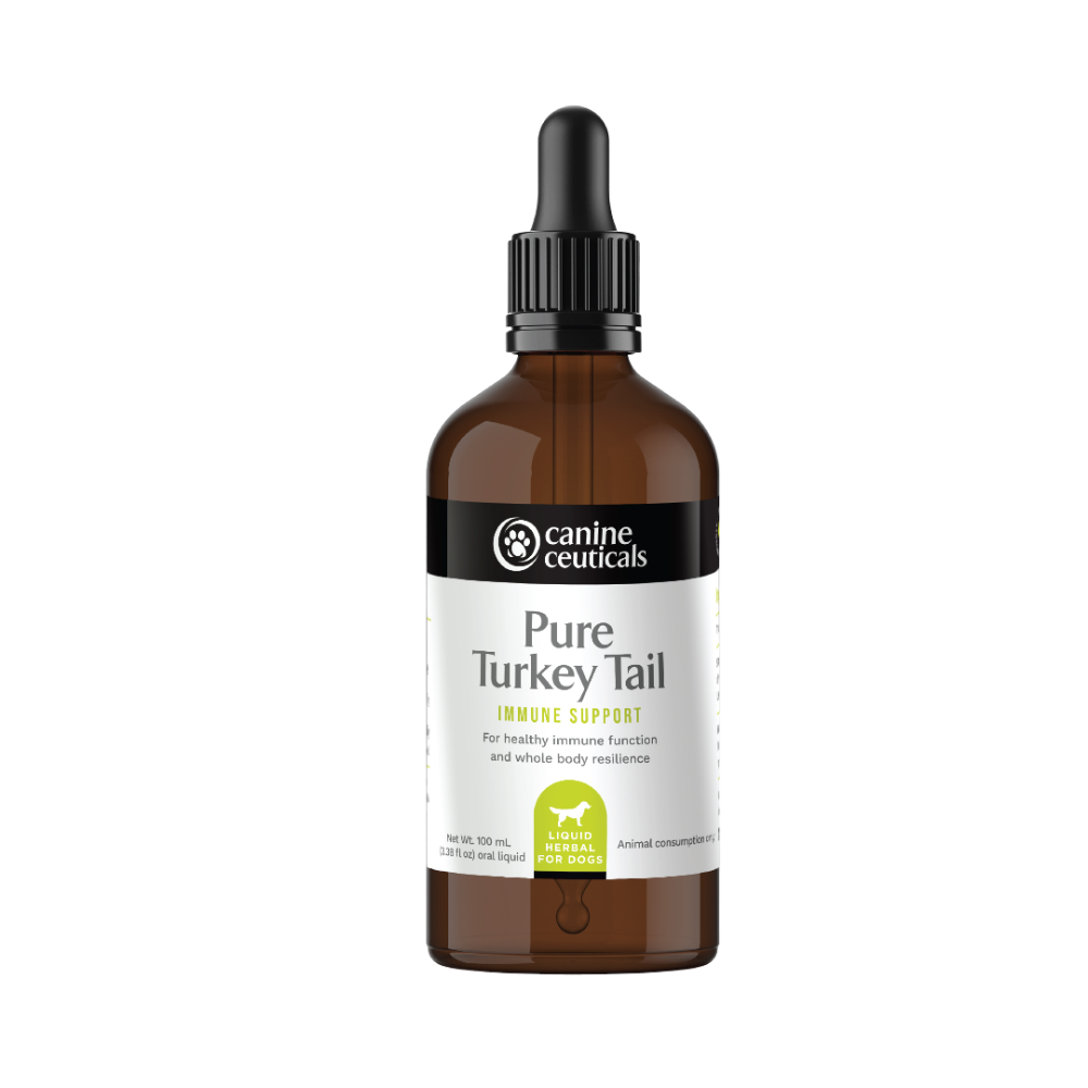 Canine Ceuticals Pure Turkey Tail Immune Support Drops For Dogs | Top ...