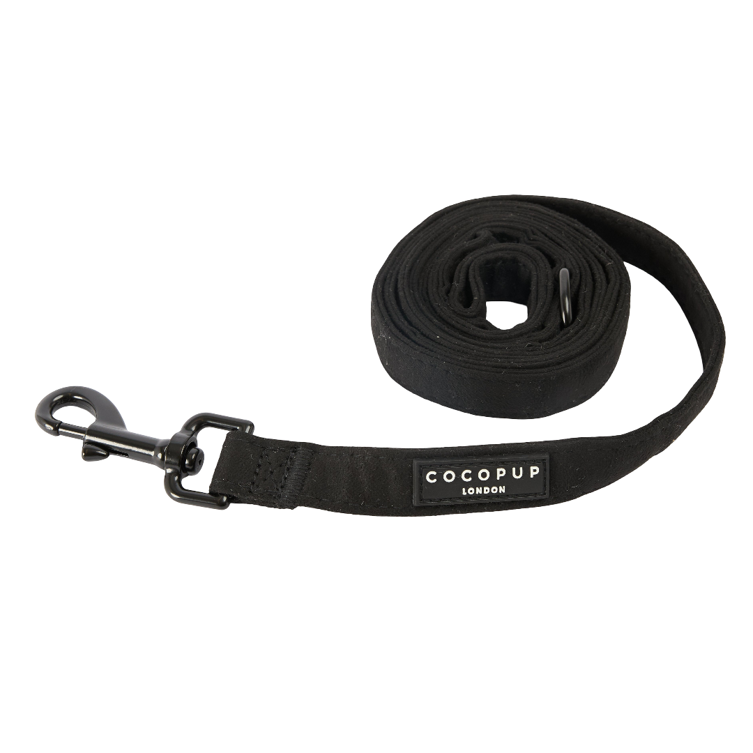 Cocopup London Classic Dog Lead in Black Aviator Suede | Top dogs on ...