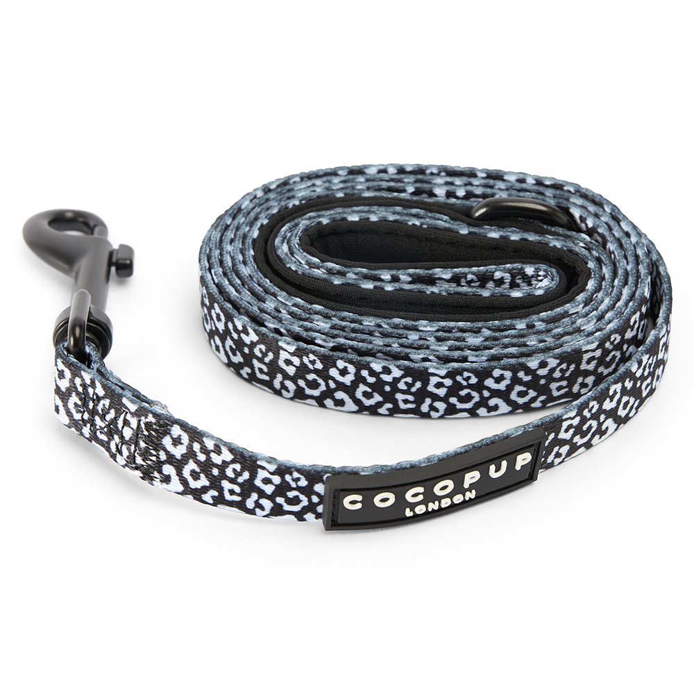Cocopup London Puppy Dog Lead in Black Leopard | Top dogs on price ...