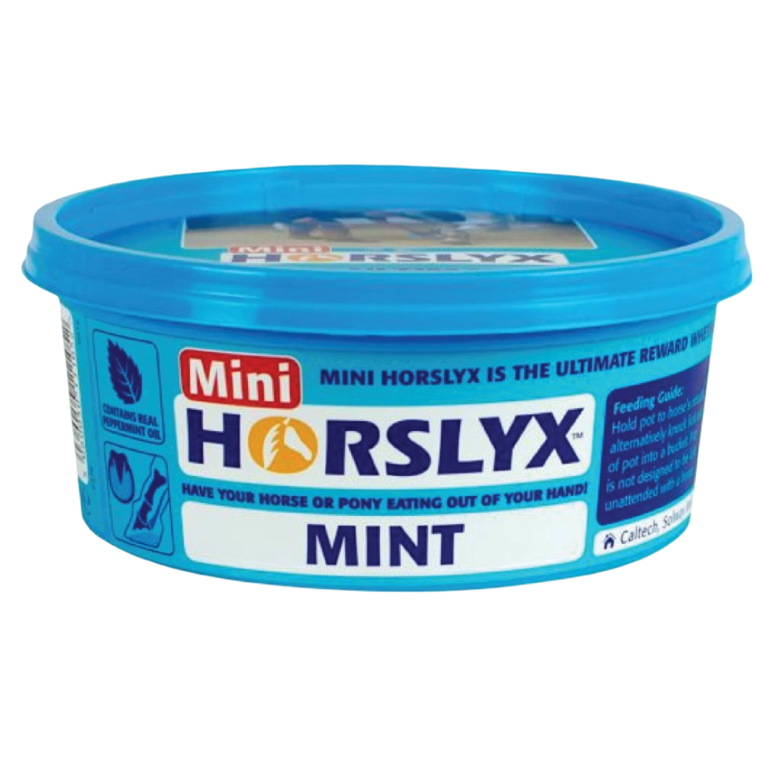 Horslyx Mint Mini Vitamin And Mineral Lick | Top dogs on price | Pet Circle