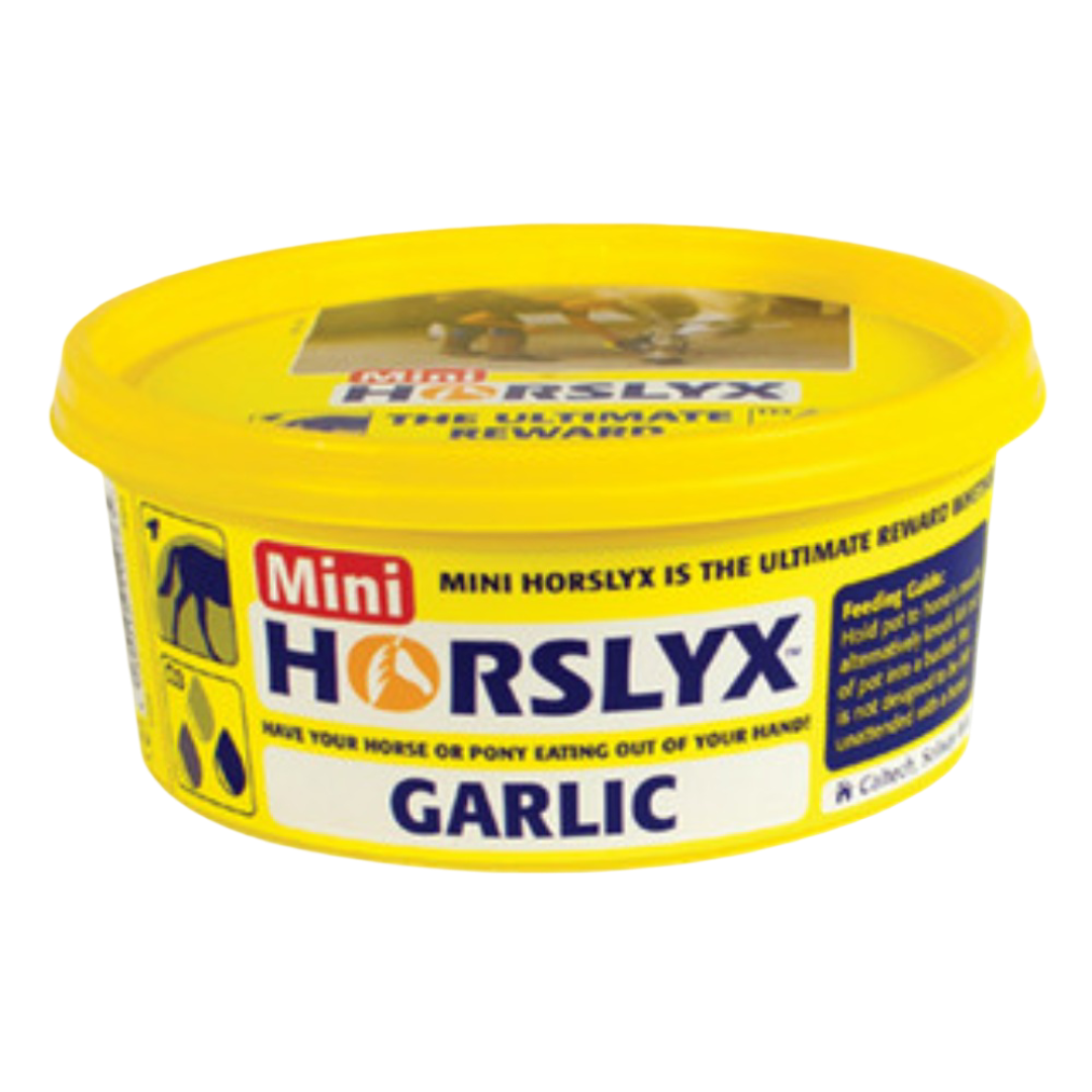 Horslyx Garlic Mini Vitamin And Mineral Lick | Top dogs on price | Pet ...