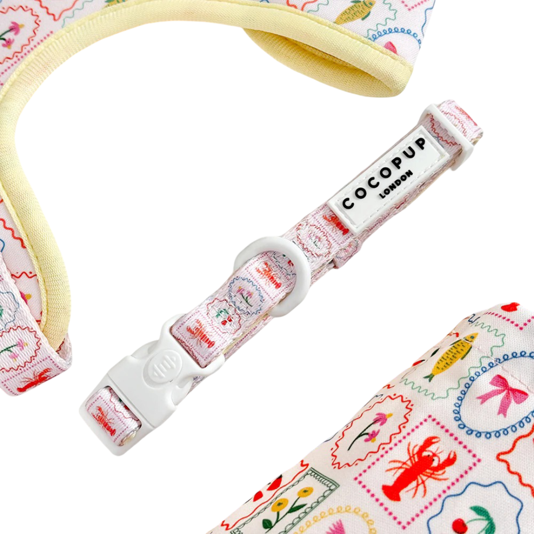 Cocopup London Dog Collar in Dolce Vita Vacay | Top dogs on price | Pet ...