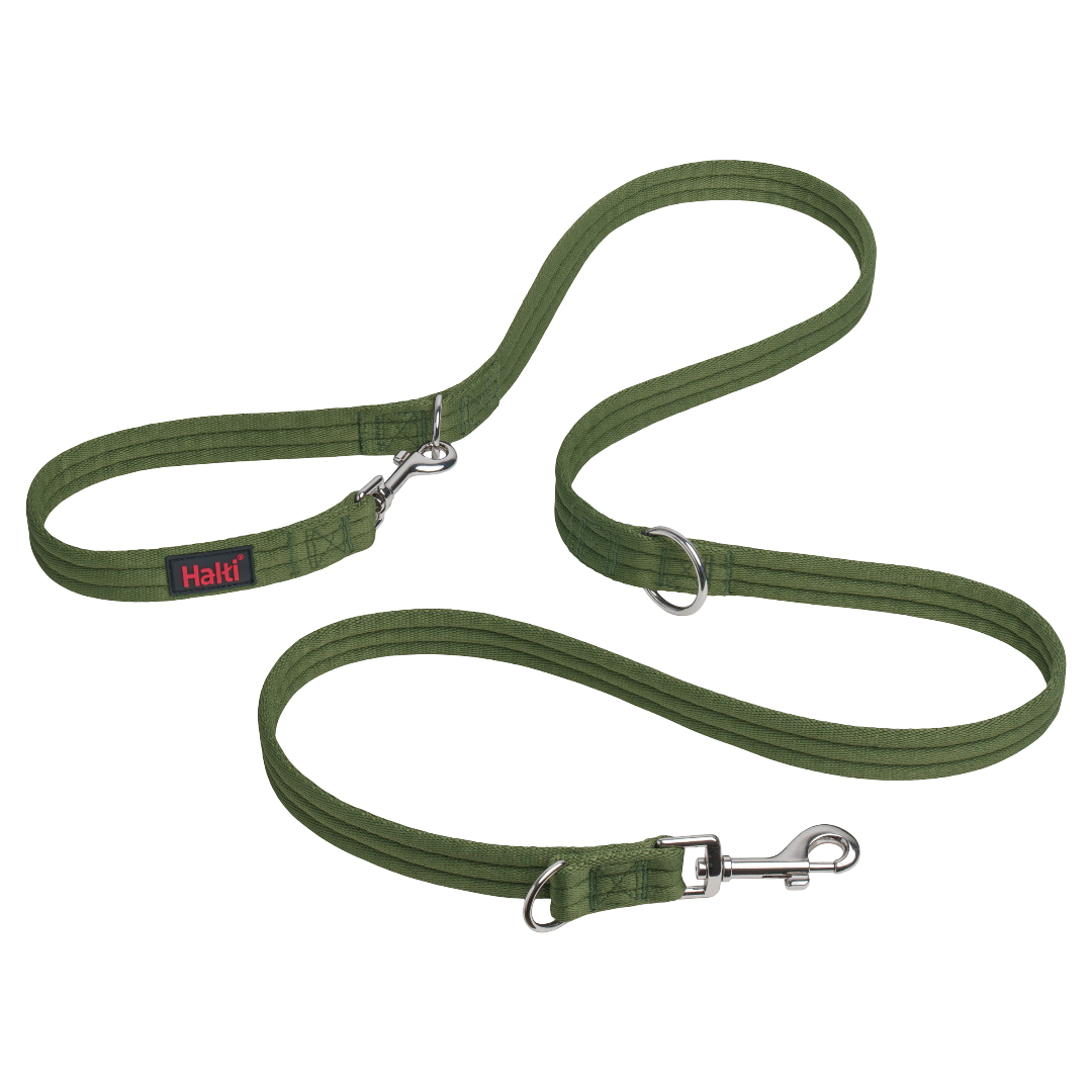 Halti Dog Training Lead in Forest Green | Top dogs on price | Pet Circle