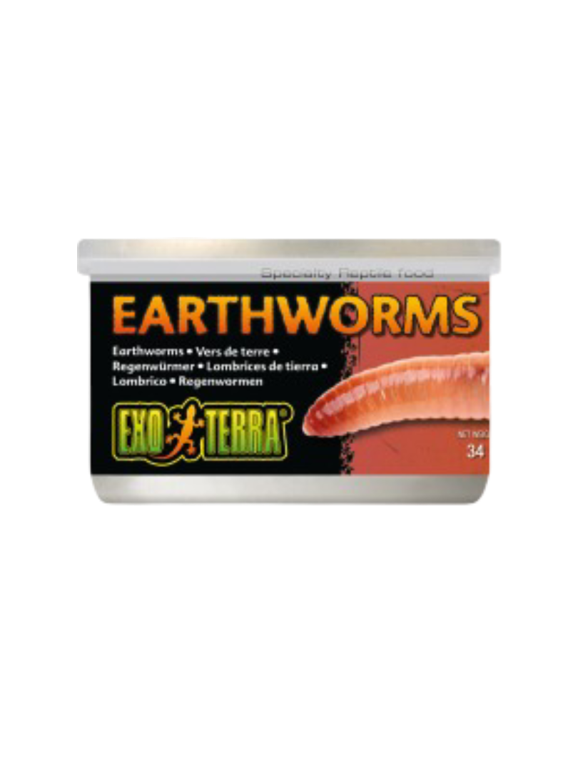 Exo Terra Canned Earthworms Specialty Reptile Food | Top dogs on price ...