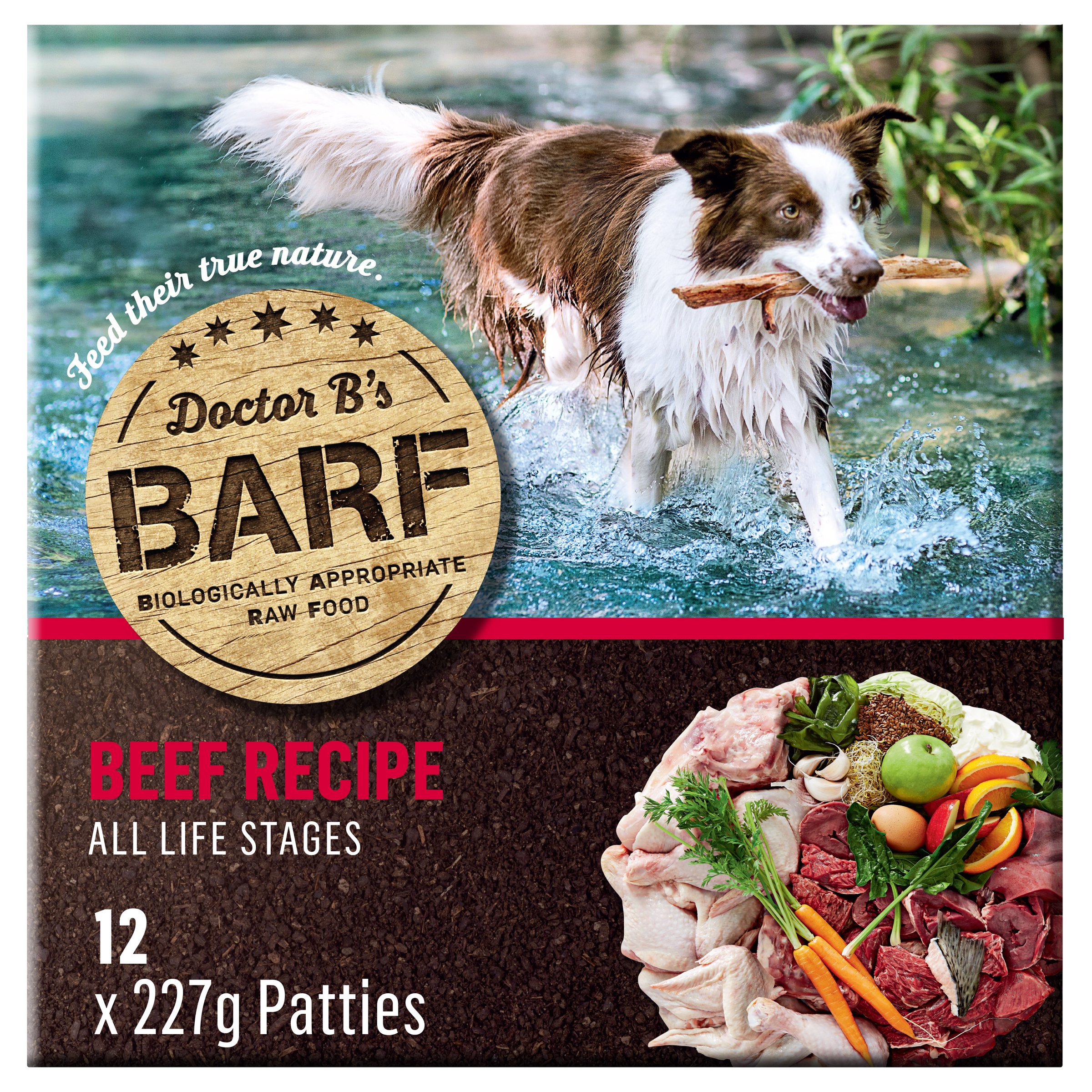 Doctor Bs Barf All Life Stages Beef Recipe Frozen Raw Dog Food | Top ...