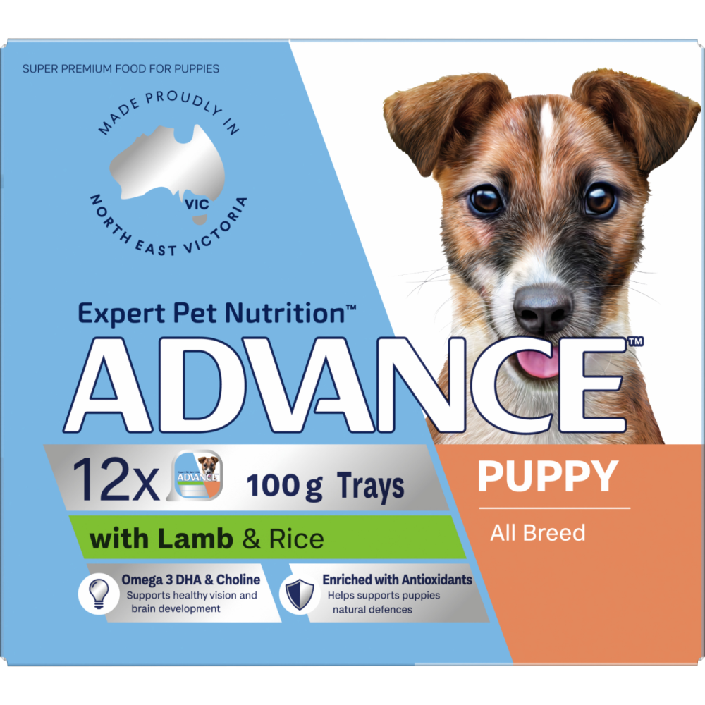 ADVANCE Puppy Single Serve Wet Dog Food Lamb With Rice | Top dogs on ...