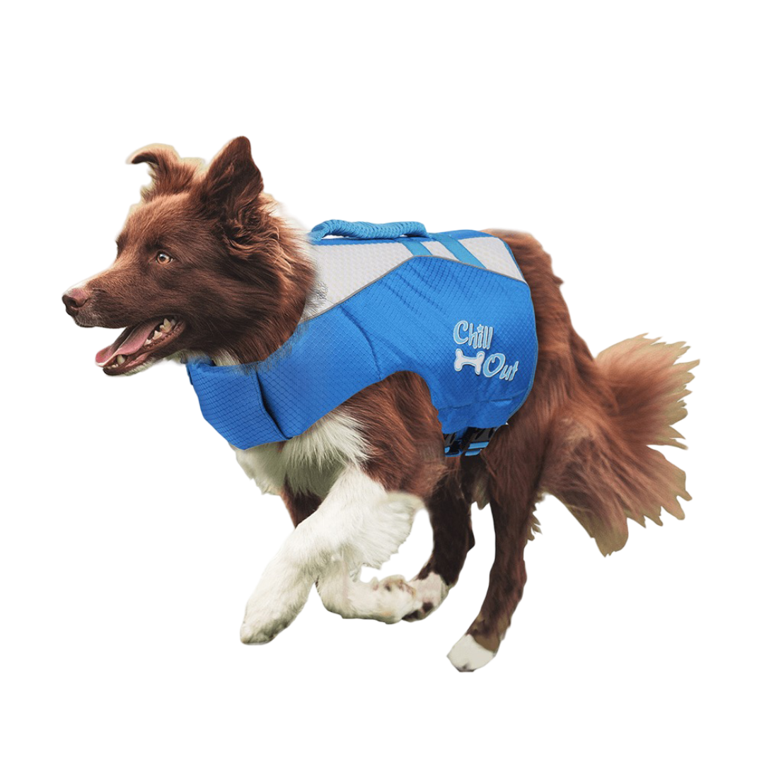 All For Paws Chill Out Dog Lifejacket | Top dogs on price | Pet Circle
