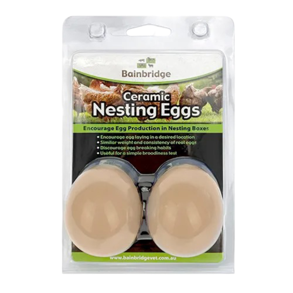 Bainbridge Nesting Eggs Ceramic | Top dogs on price | Pet Circle