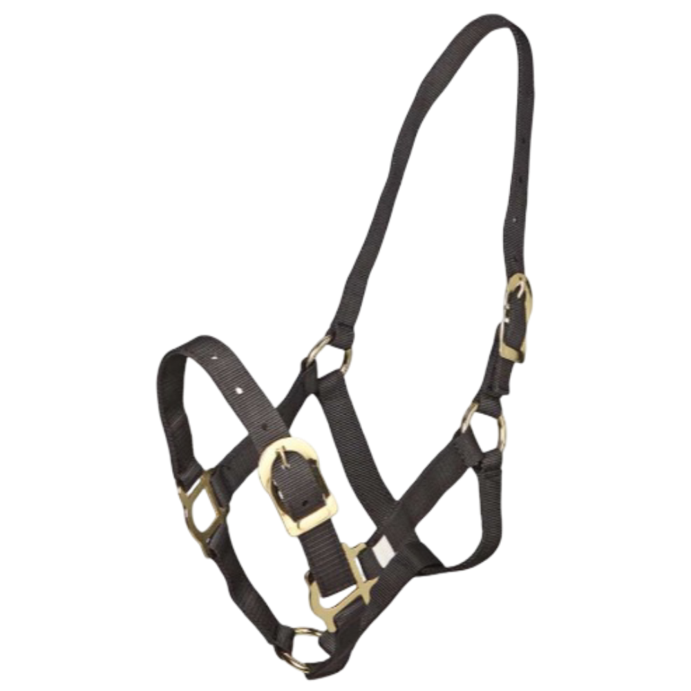 Zilco Headstall Picador PP Horse Halter In Black | Top dogs on price ...