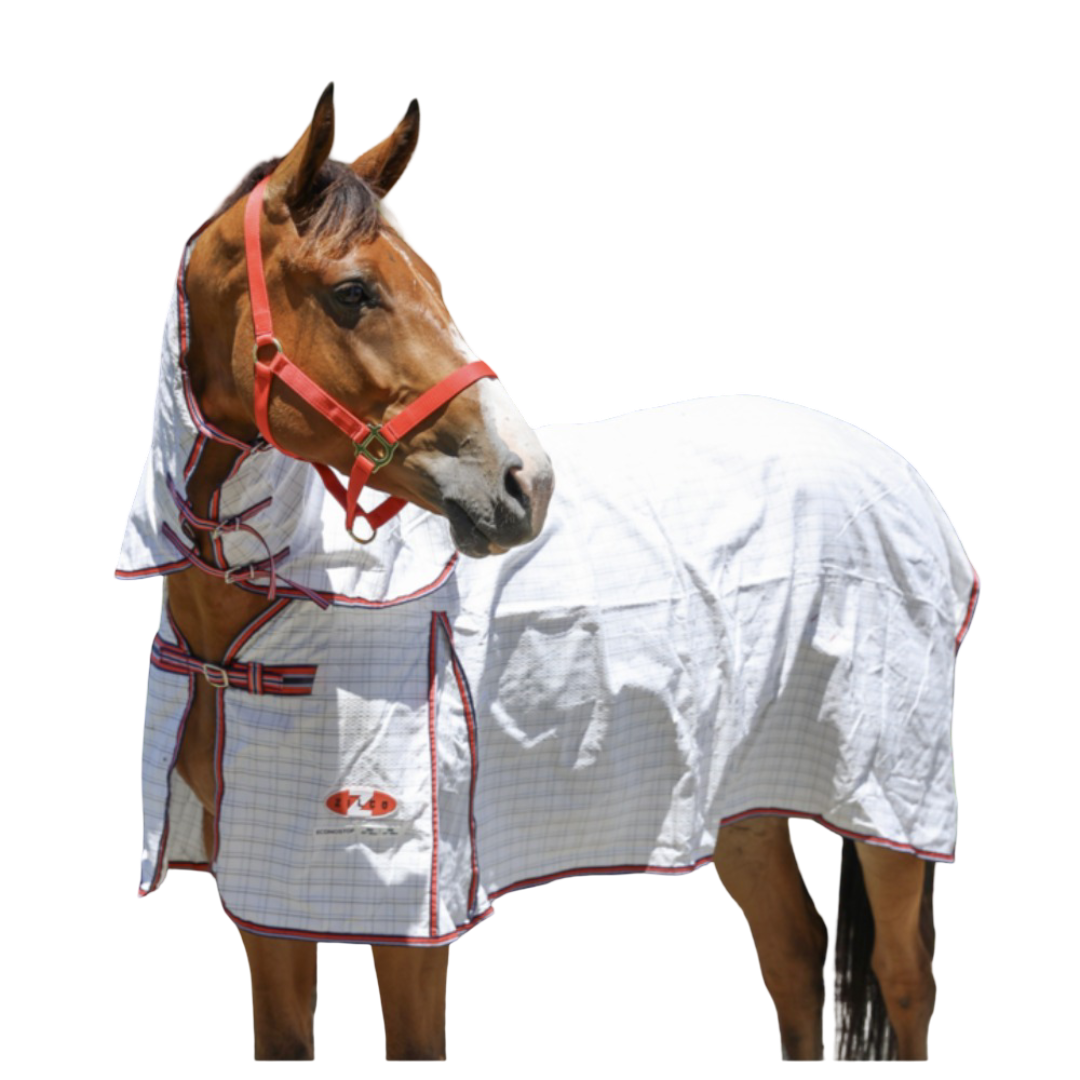 Zilco Econostop Combo White Horse Rug With Red Navy Trim | Top dogs on ...