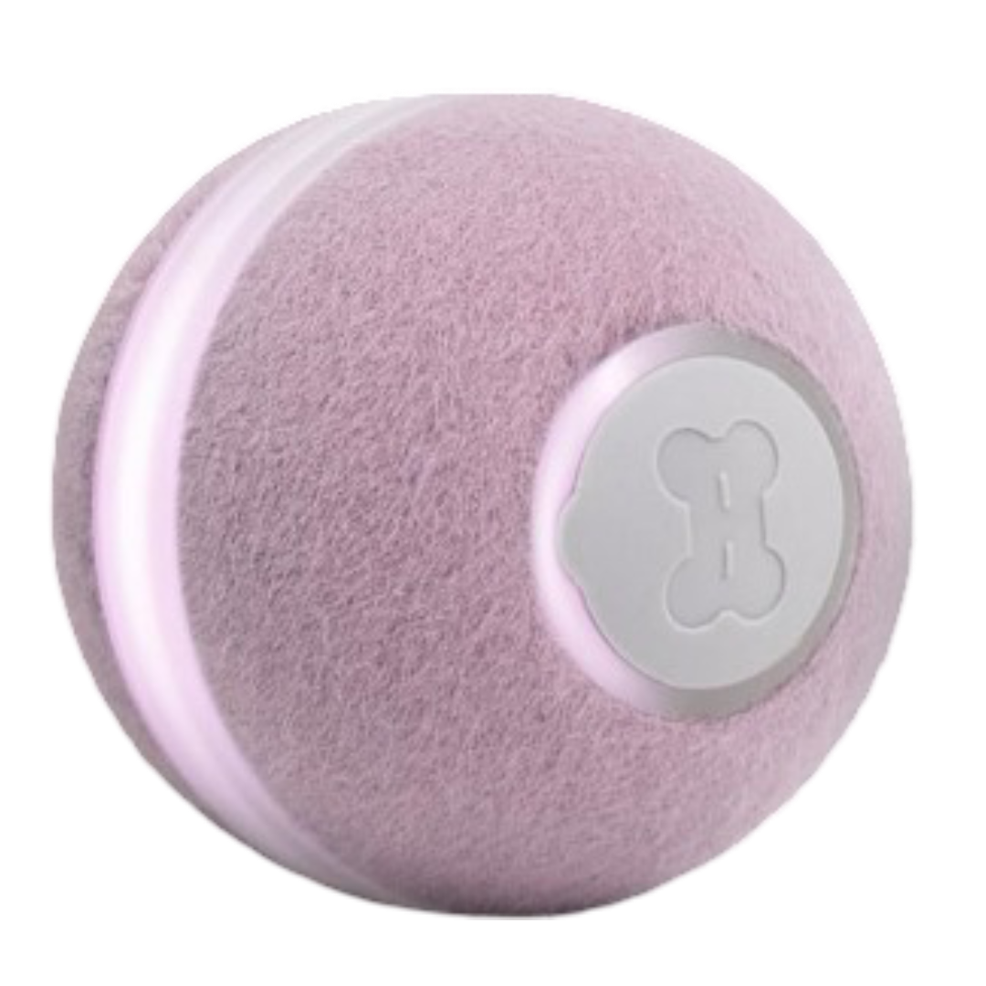 Cheerble Cheerble M1 Mini Cat Ball Purple | Top dogs on price | Pet Circle