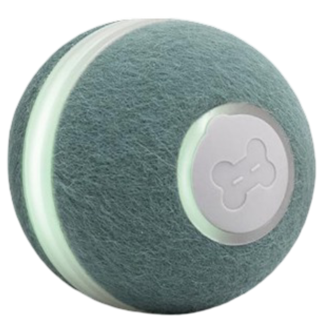 Cheerble Cheerble M1 Mini Cat Ball Green | Top dogs on price | Pet Circle