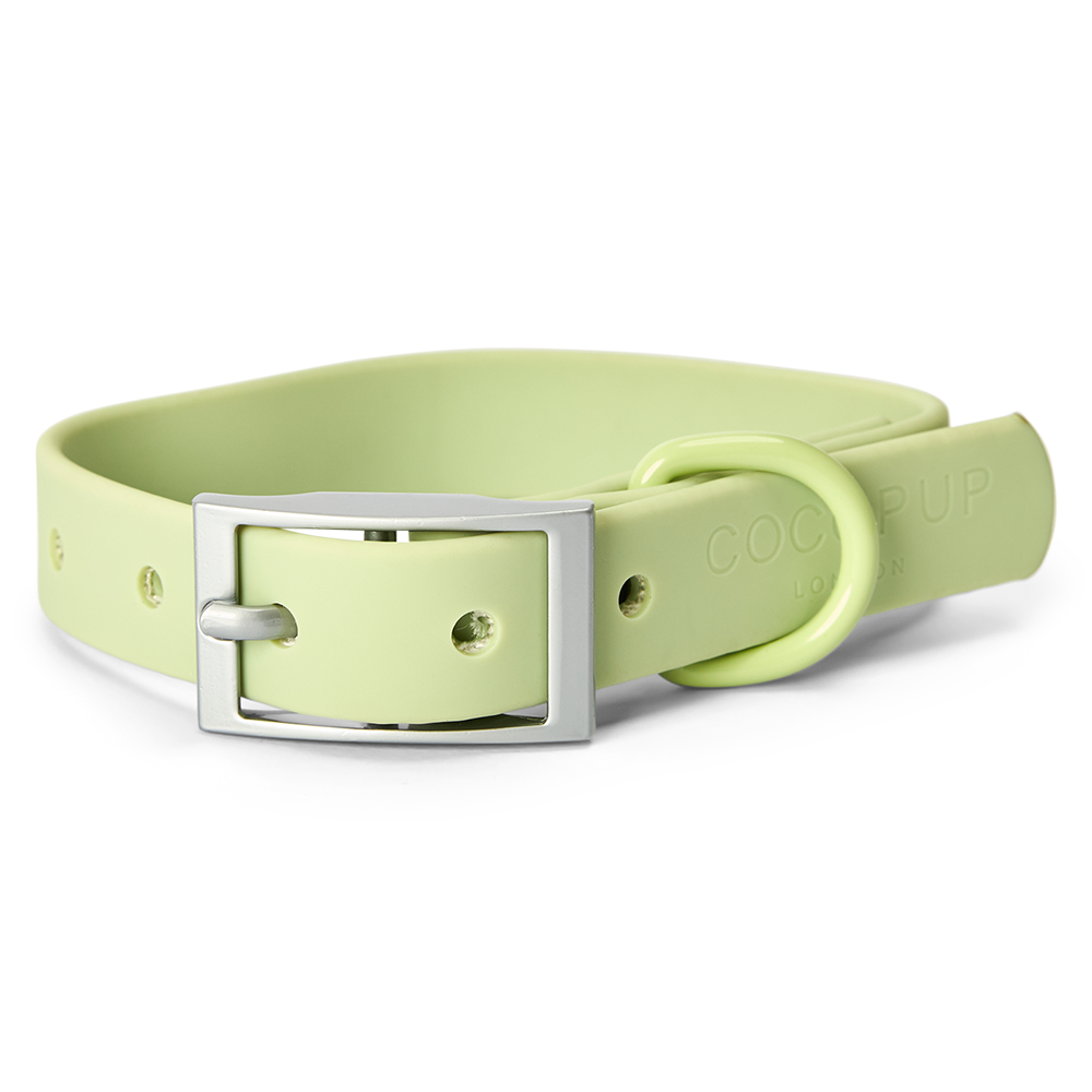 Cocopup London Nakd Waterproof Dog Collar in Matcha Green | Top dogs on ...