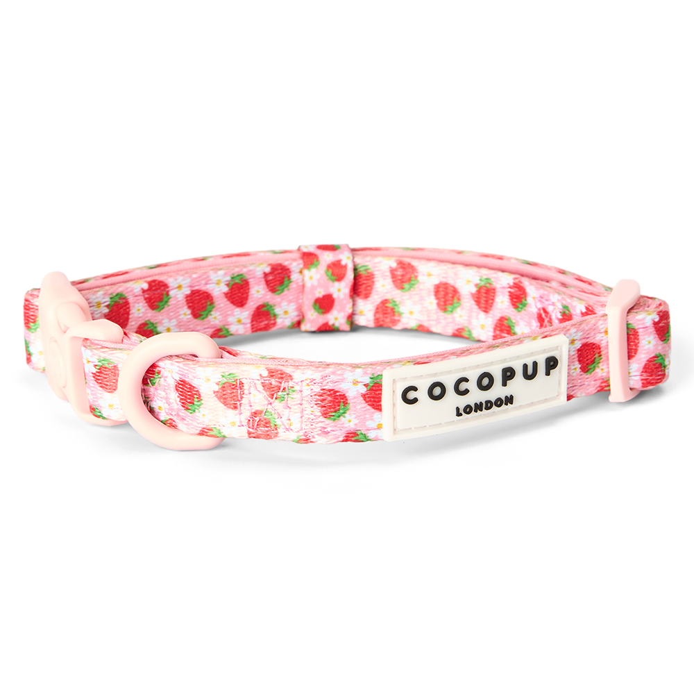 Cocopup London Neoprene Dog Collar in Pupberry Fields Pink | Top dogs ...