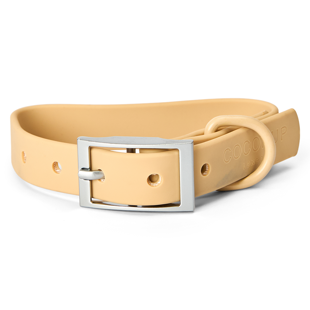 Cocopup London Nakd Waterproof Dog Collar in Biscuit Yellow | Top dogs ...