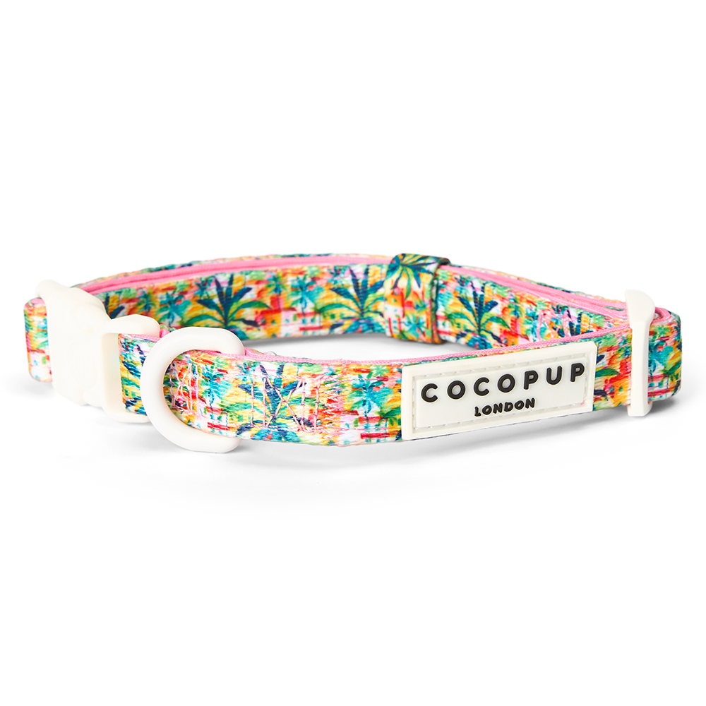 Cocopup London Dog Collar in Portofino Pup Summers | Top dogs on price ...