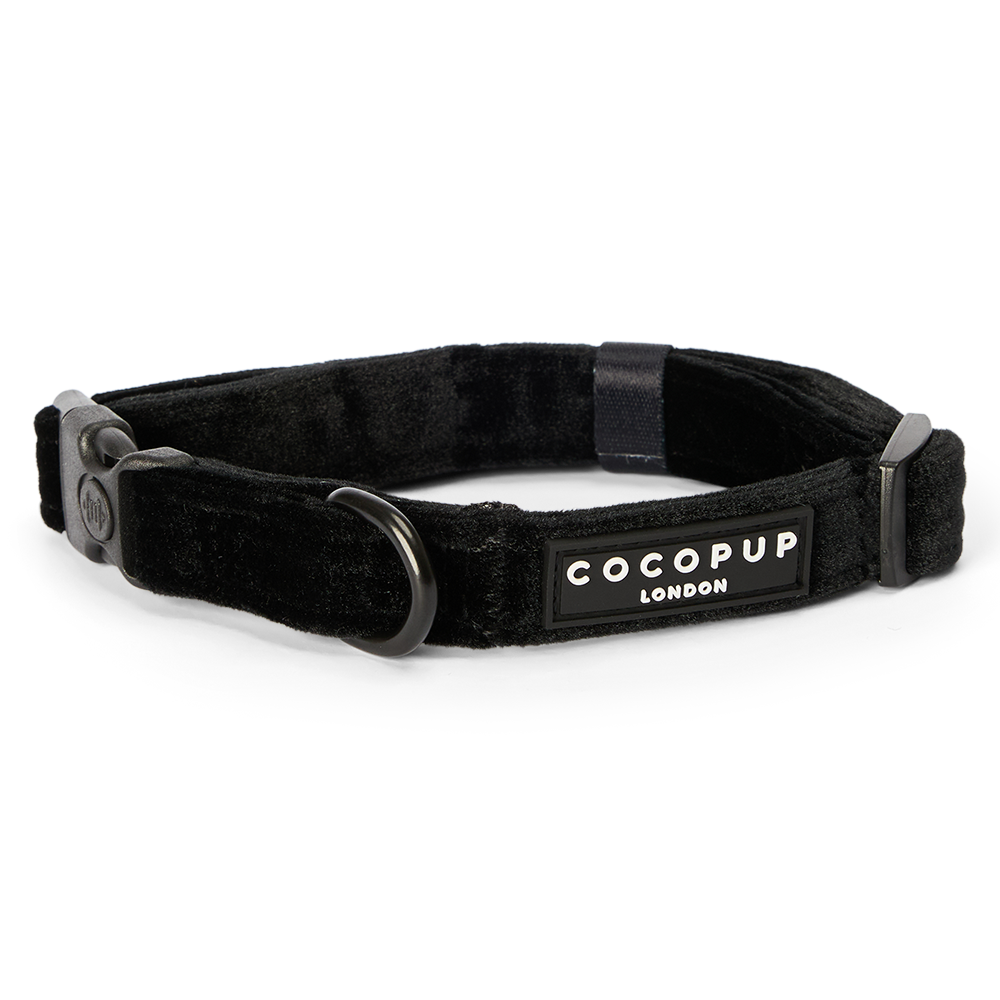 Cocopup London Luxe Dog Collar in Noir Black Velvet | Top dogs on price ...