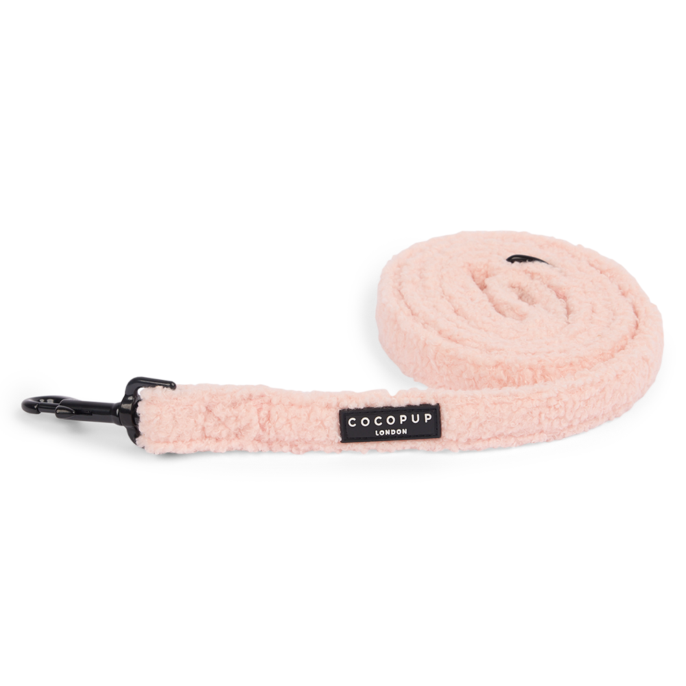 Cocopup London Teddy Dog Lead in Love A Lot Pink | Top dogs on price ...