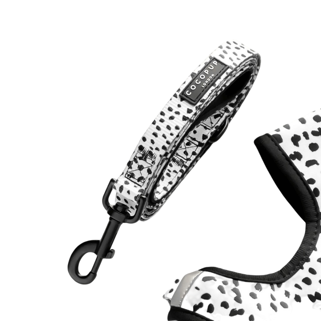 Cocopup London Classic Dog Lead in Monochrome Spots | Top dogs on price ...