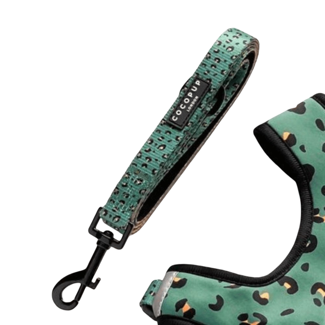 Cocopup London Classic Dog Lead in Khaki Leopard | Top dogs on price ...