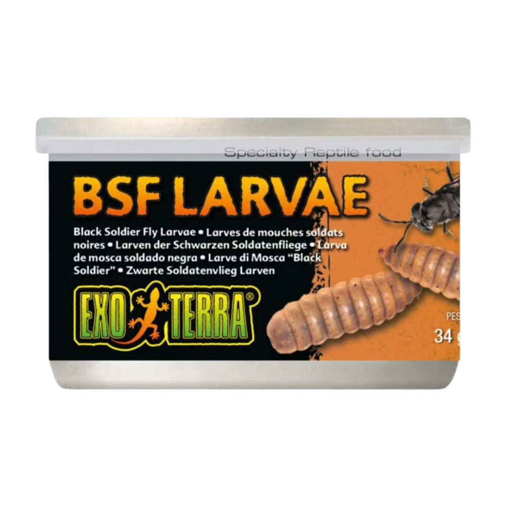 Exo Terra Exo Terra Canned Black Soldier Fly Larvae Specialty Reptile Food | Top dogs on price ...