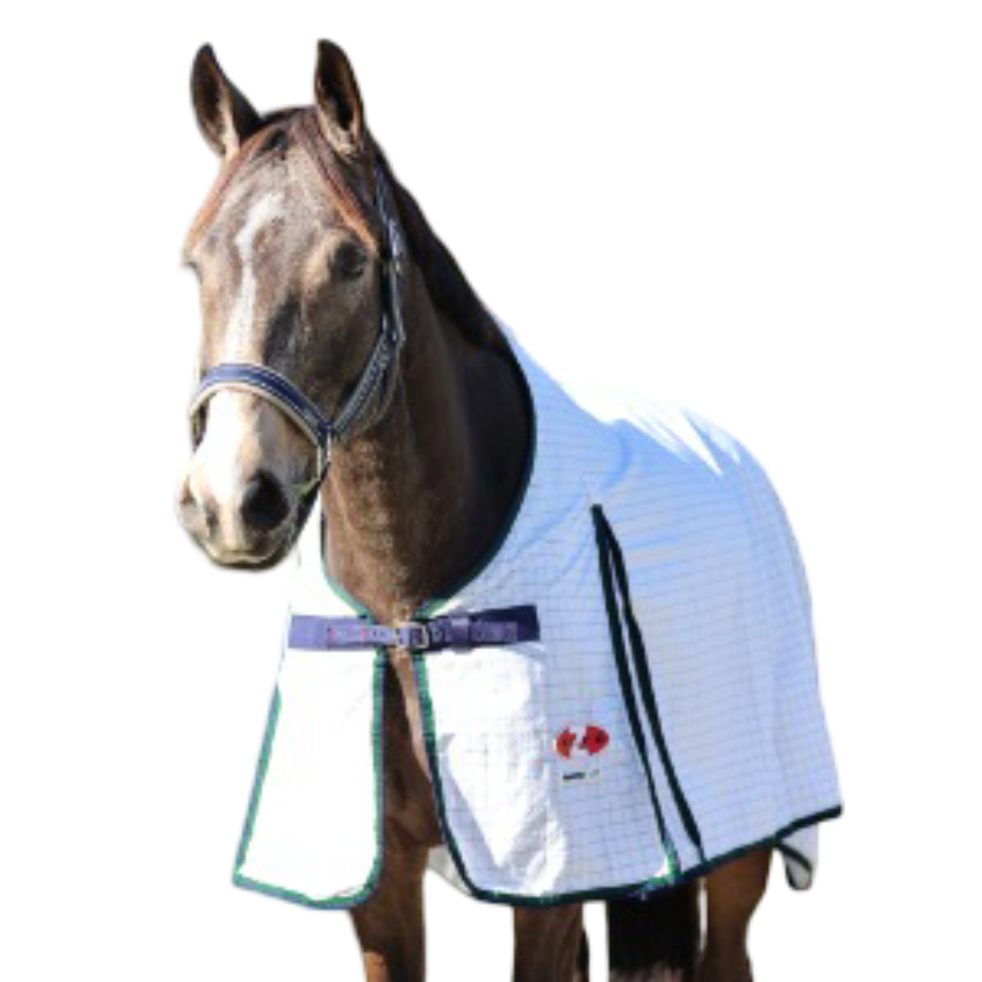 Zilco Supastop White Horse Rug With Green Navy Trim | Top dogs on price ...