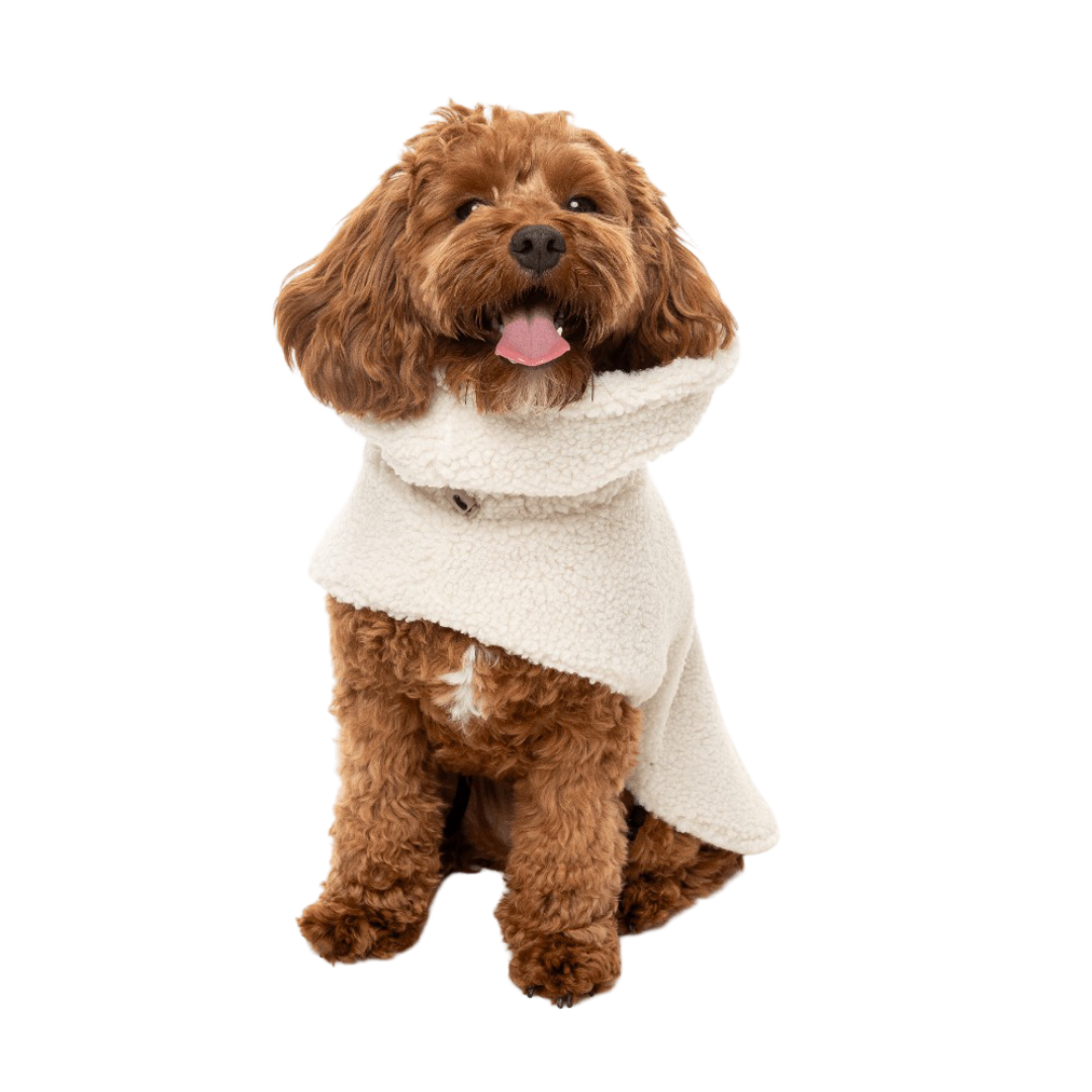 FuzzYard Eggshell Cosy Snood Dog Coat | Top dogs on price | Pet Circle