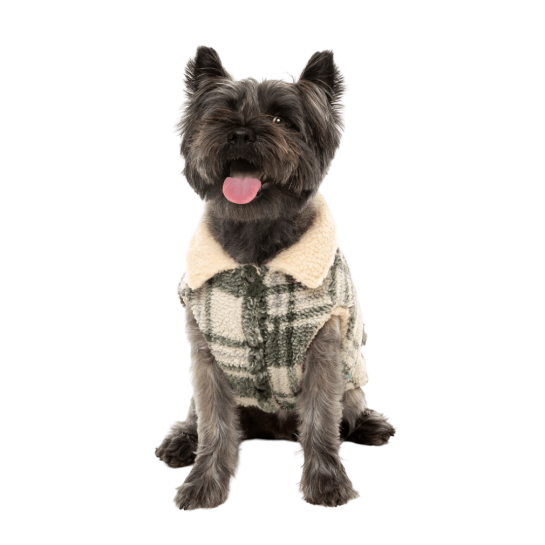 FuzzYard Green And Cream Lumberjack Dog Jacket | Top dogs on price ...