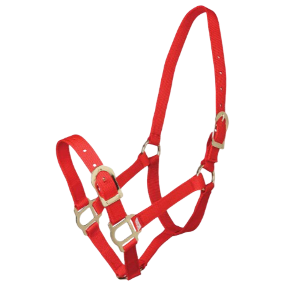 Zilco Headstall Picador PP Horse Halter In Red | Top dogs on price ...
