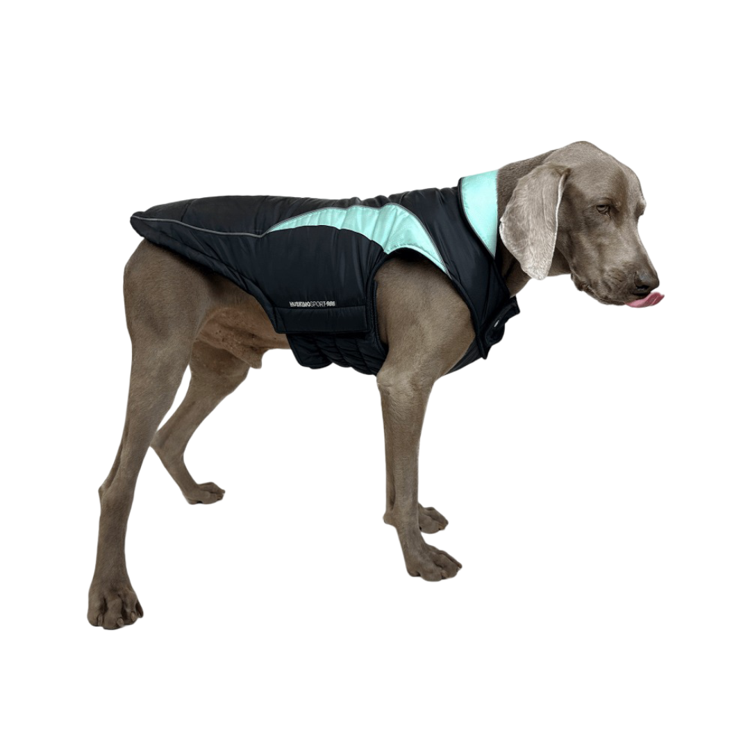 Huskimo Coat Sherpa Black | Top dogs on price | Pet Circle