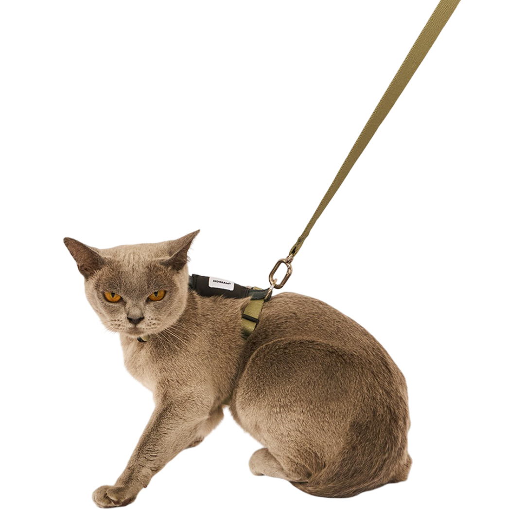Hi Dream I Shaped Cat Harness & Lead Set in Green | Top dogs on price ...