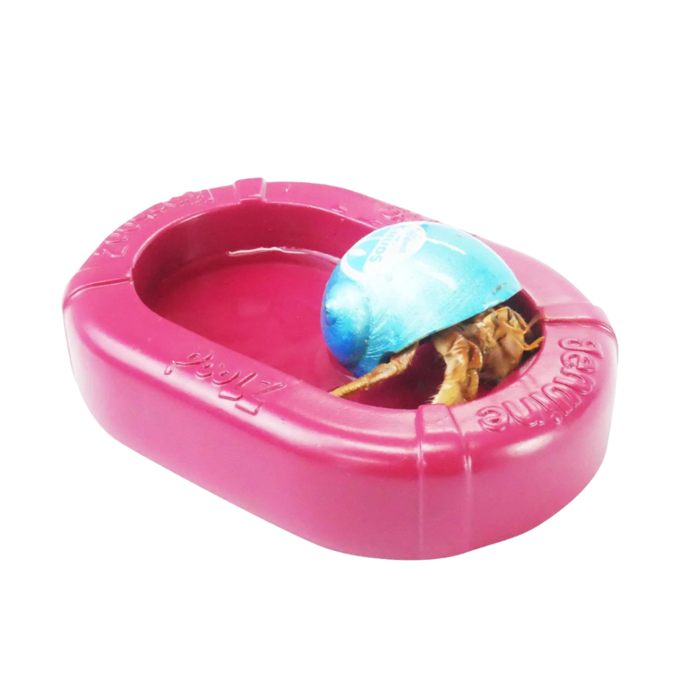 Krabooz Salt Poolz Resin Pool With Steps For Hermit Crabs | Top dogs on ...