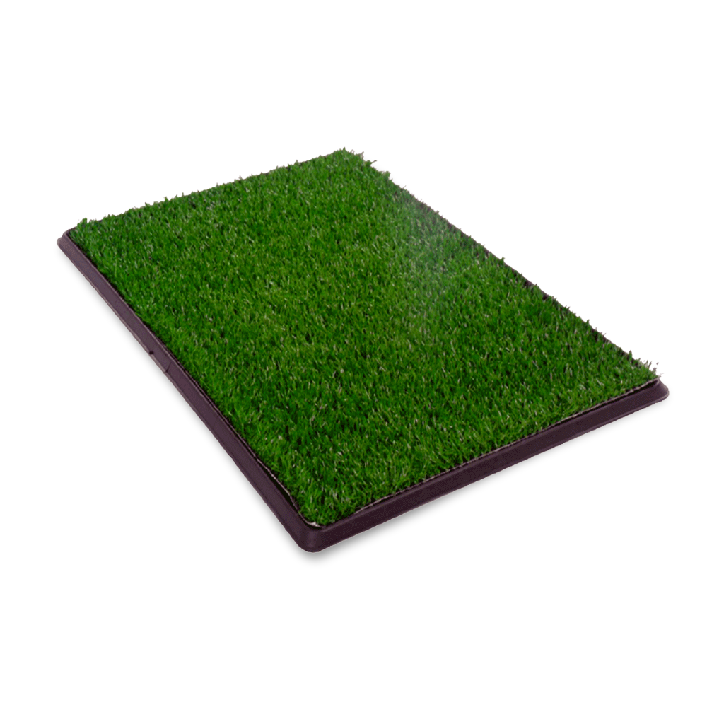 Paws for Life 2 Layer Synthetic Grass Potty With Tray | Top dogs on ...