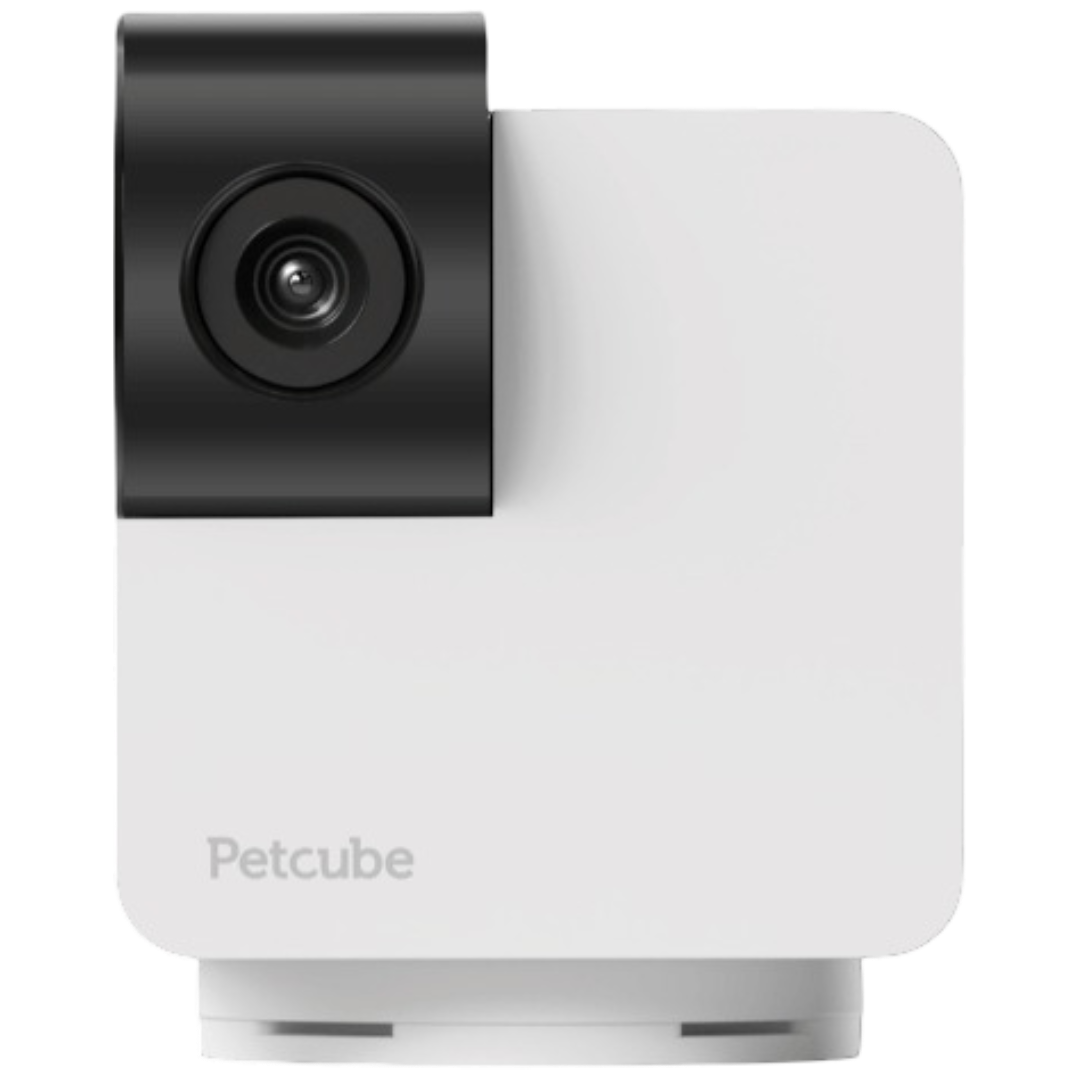 Petcube Cam 360 Pet Monitoring Camera | Top dogs on price | Pet Circle