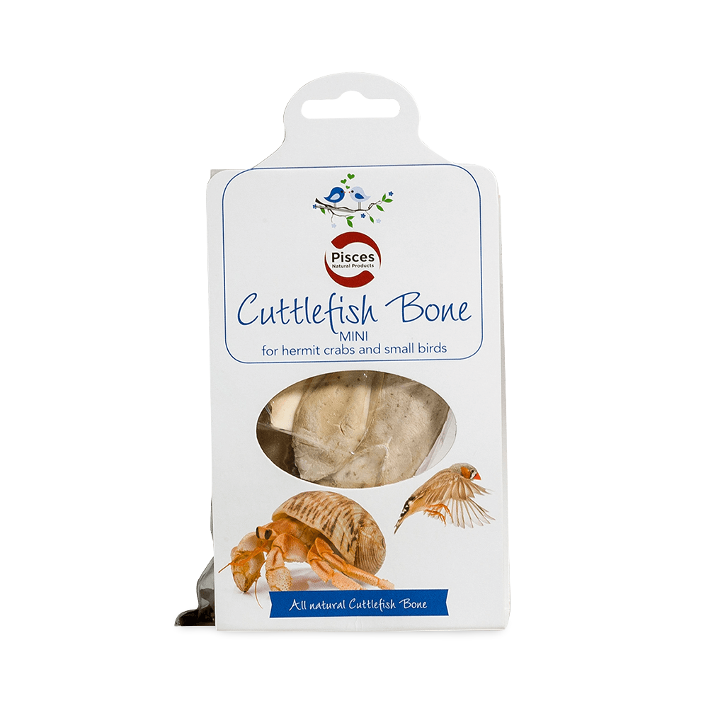 Pisces Pisces Natural Products Cuttlebone Mini Pack | Top dogs on price ...