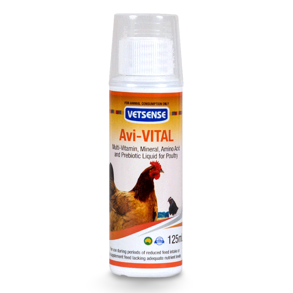 Vetsense Avi Vital | Top dogs on price | Pet Circle