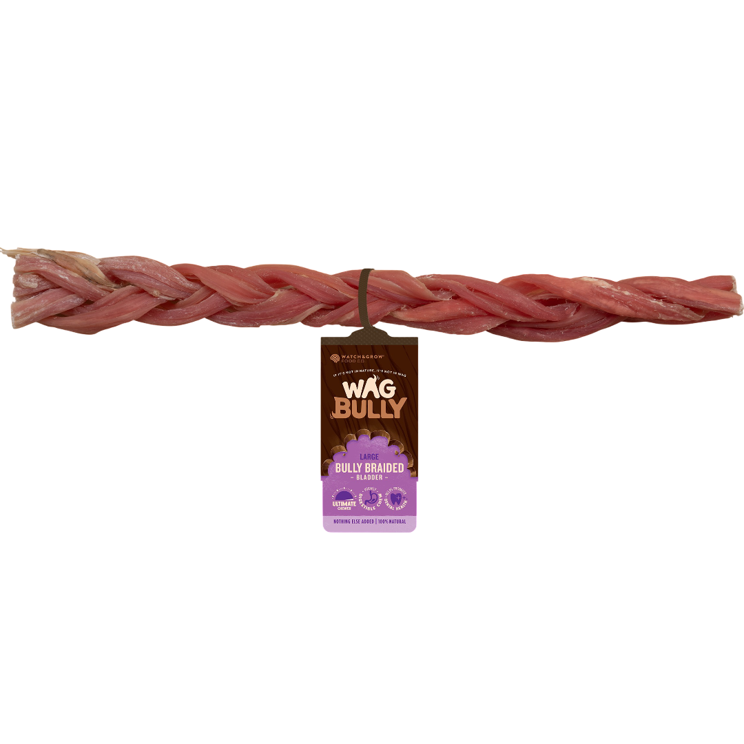 WAG Dog Treats Braided Bully Stick Large | Top dogs on price | Pet Circle